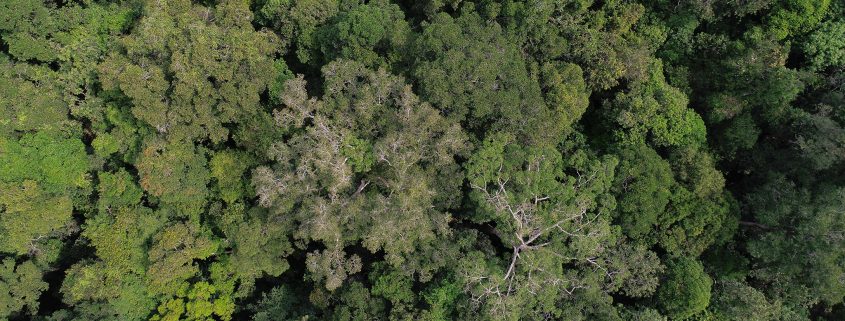 Index of /wp-content/uploads/2020/05/