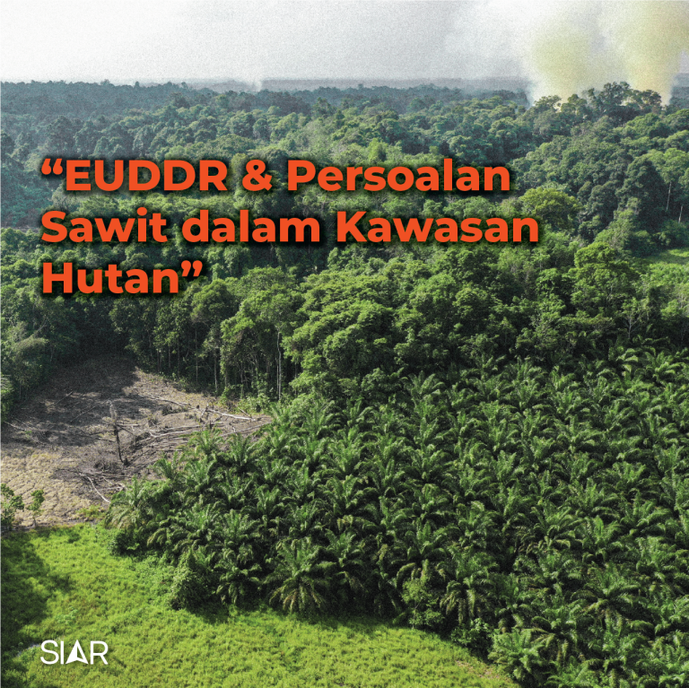“EUDDR & Persoalan Sawit dalam Kawasan Hutan” - SIAR “EUDDR & Persoalan Sawit dalam Kawasan Hutan” - SIAR